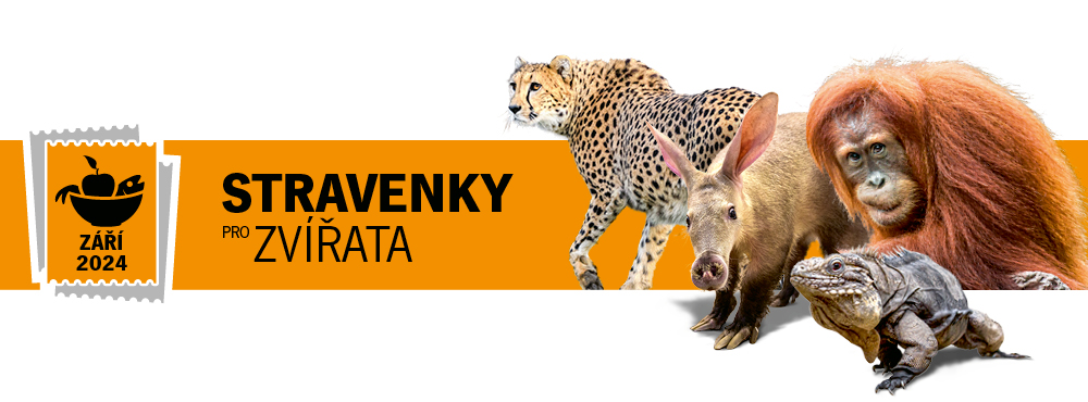 Stravenky pro zvířata