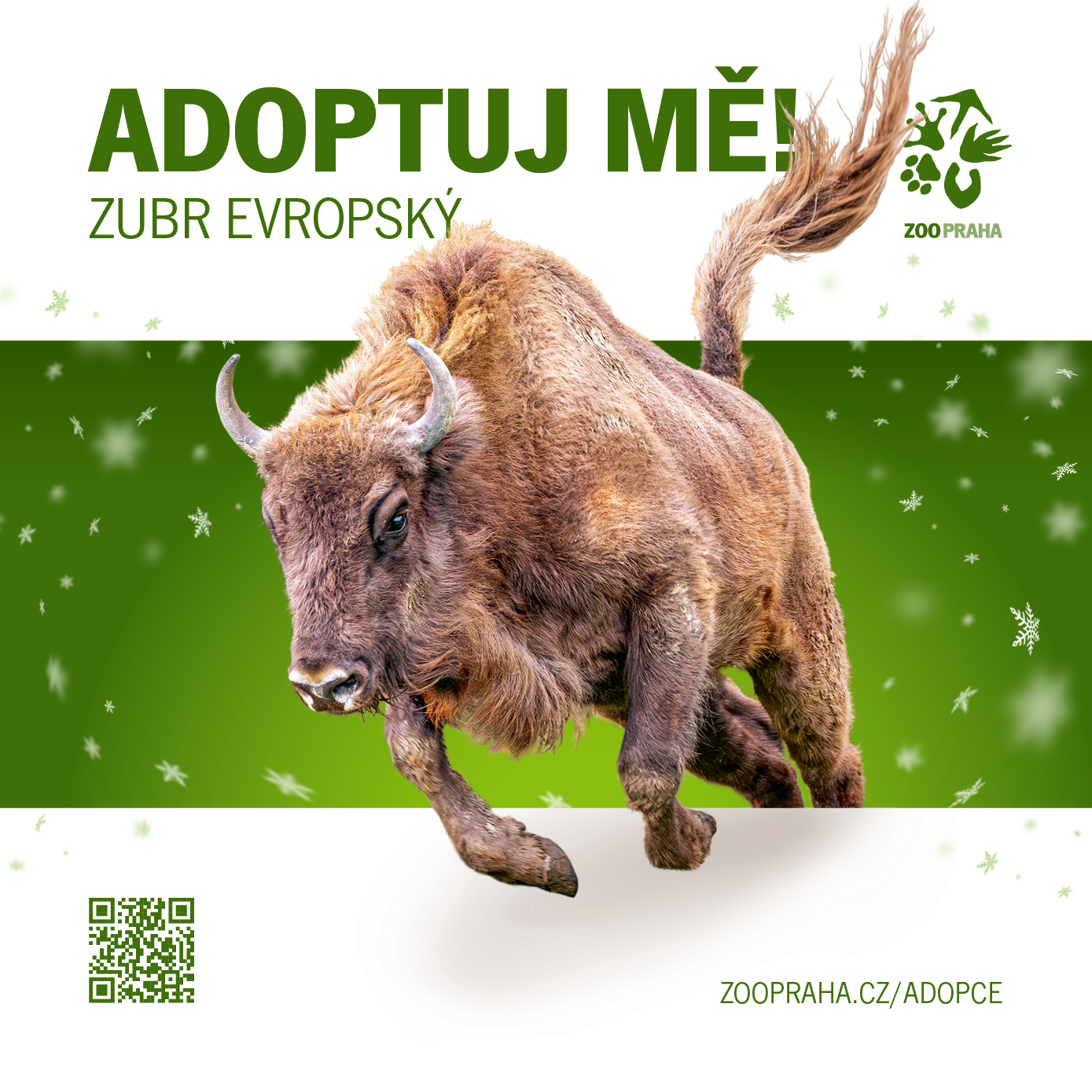 Adoptuj mě! Zoo Praha představuje zvířecí sirotky
