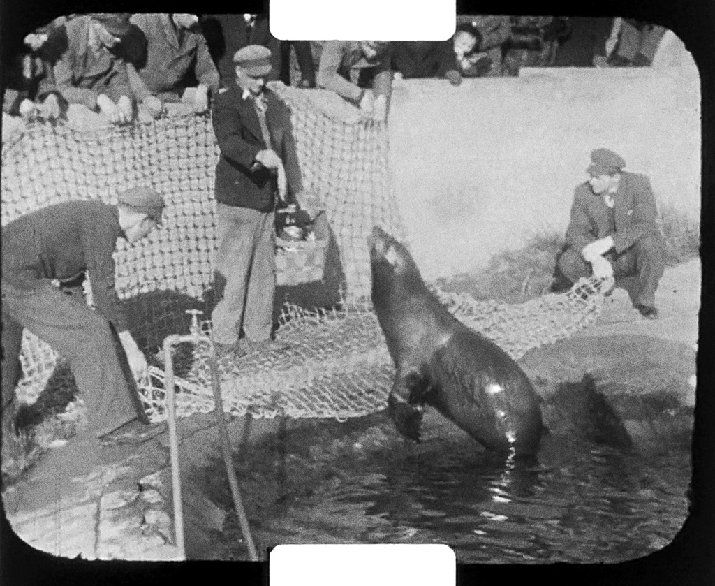 V říši profesora Jandy